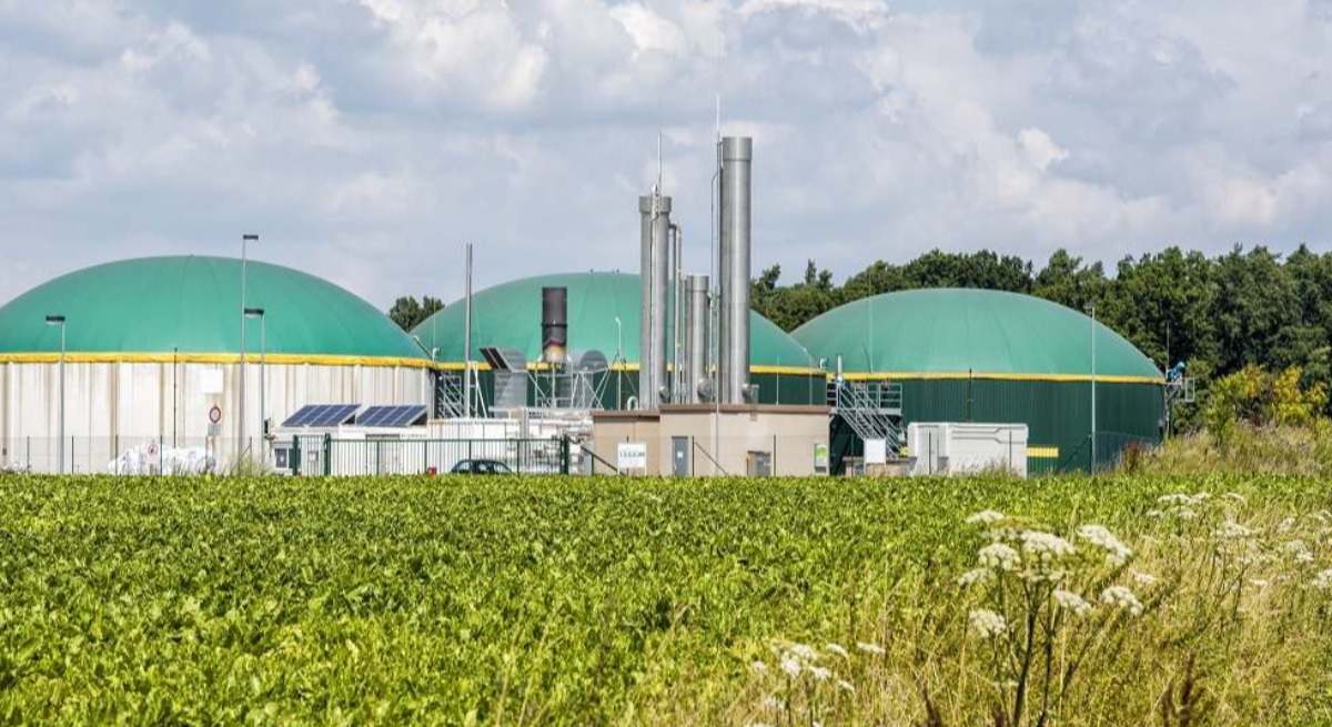 Avalon Renovables sigue construyendo una sólida cartera de proyectos de ...